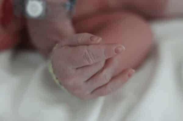 Neonatal Resuscitation Algorithm |ACLS Certification Association