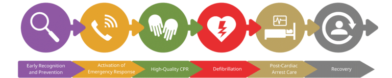 Topic - Initiating the Chain of Survival | BLS Course | ACLS ...
