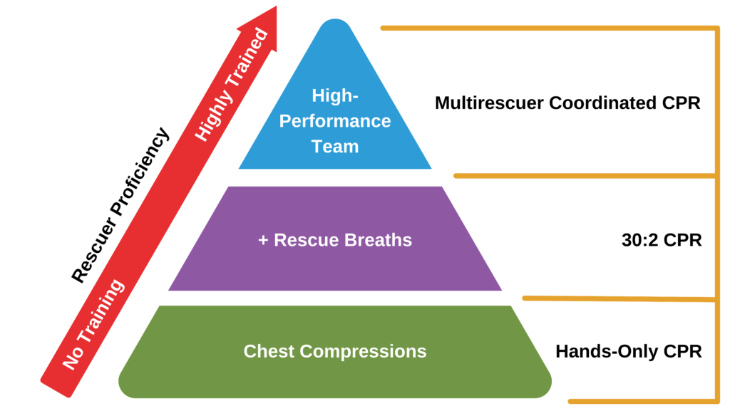 Topic - BLS for Adults Introduction | BLS Course | ACLS Certification ...