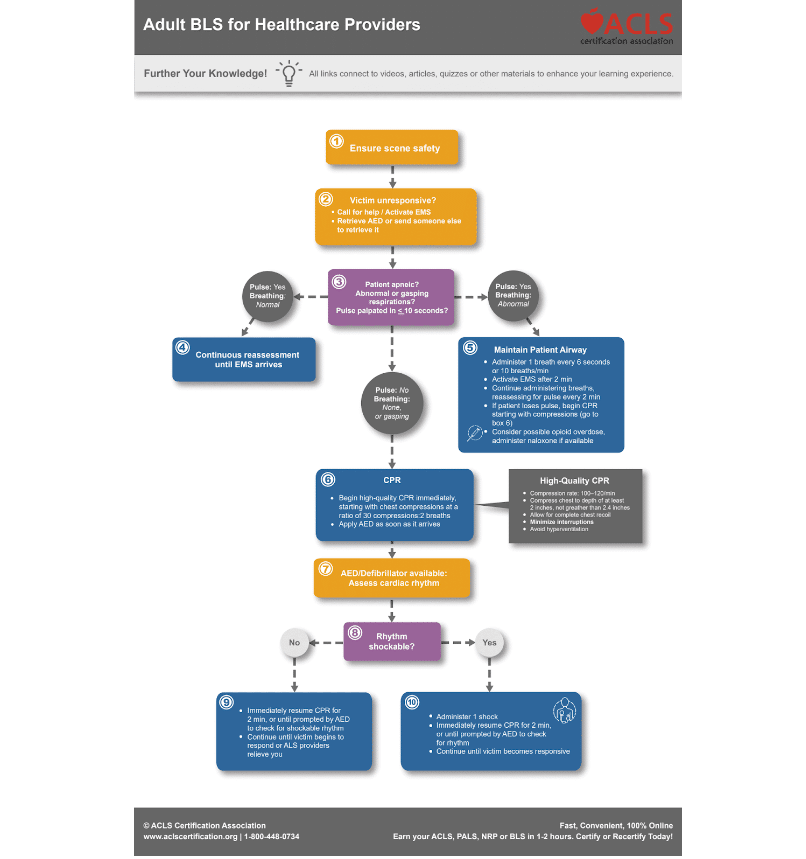 Topic - The Adult BLS Algorithm | BLS Course | ACLS Certification ...