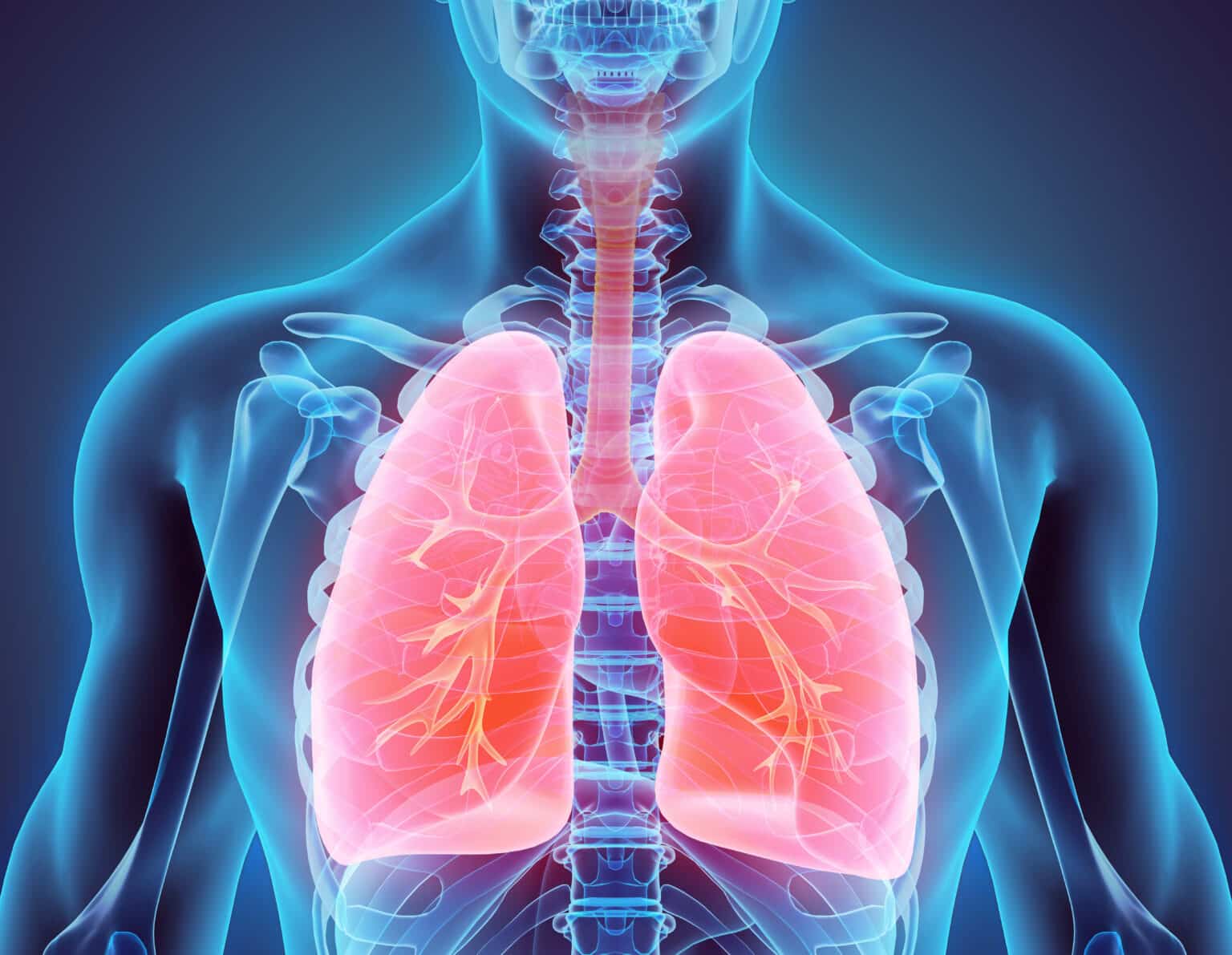 Adaptive Support Ventilation | ACLS Resources | ACLS Certification ...