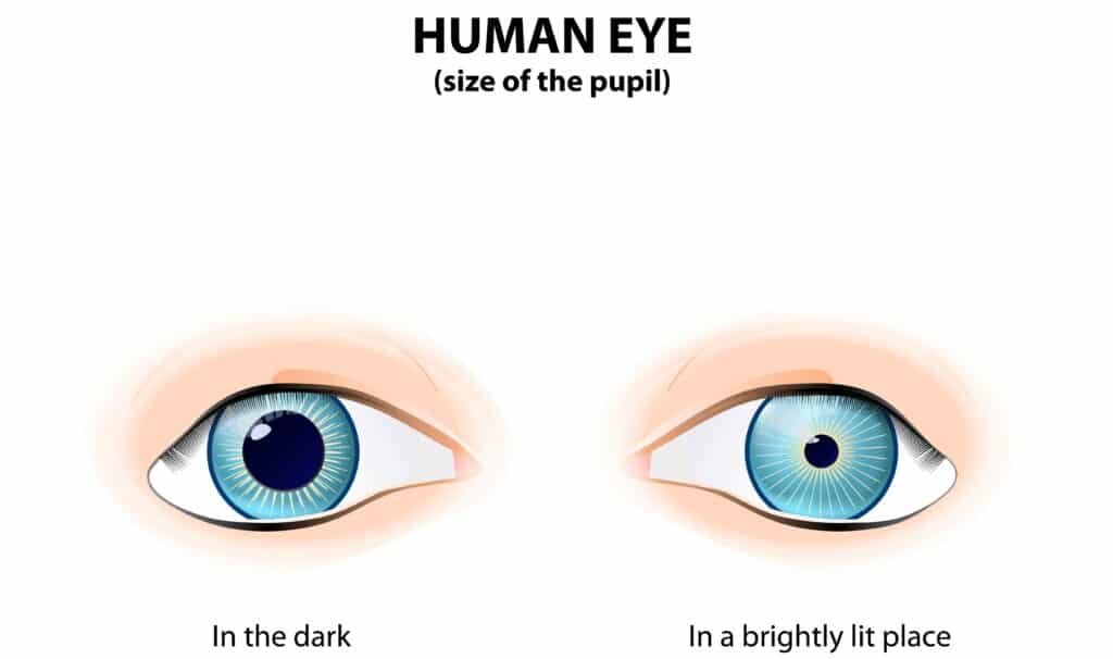 The Objective Assessment | ACLS Resources | ACLS Certification Association
