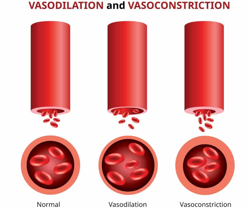 Hemodynamics: Part 2 | ACLS Resources | ACLS Certification Association