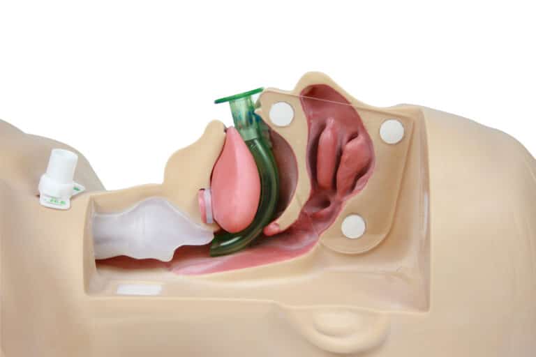 Respiratory Arrest and Airway Management | ACLS Resources | ACLS ...