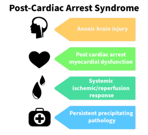 Systems of Care: In-Hospital Cardiac Arrest | ACLS Resources | ACLS ...