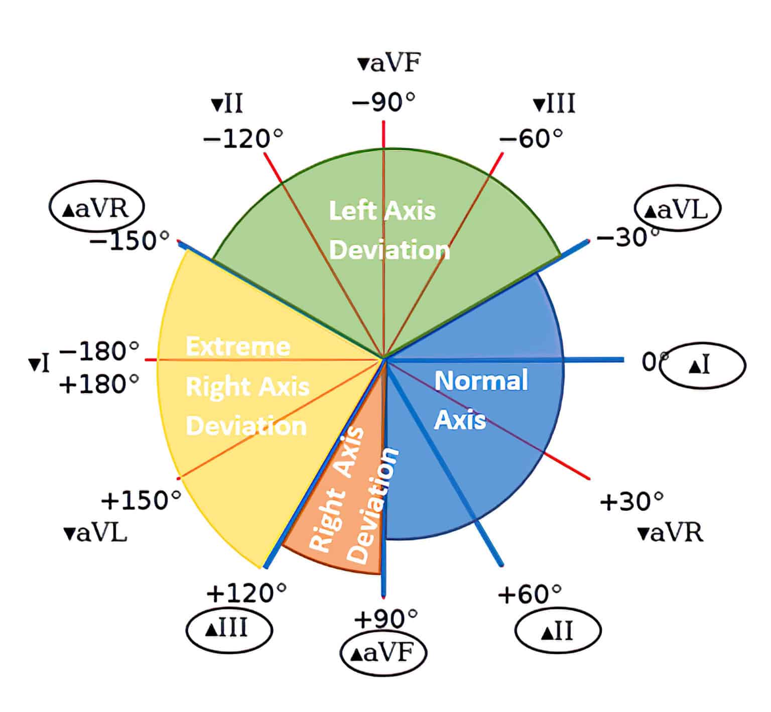 Topic - The Cardiac Axis | 12 Lead ECG Course | ACLS Certification ...
