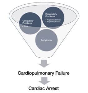 Topic - Avoiding Cardiac Arrest | PALS Course | ACLS Certification ...