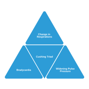 Topic - Targeted Management of Respiratory Distress or Failure | PALS ...