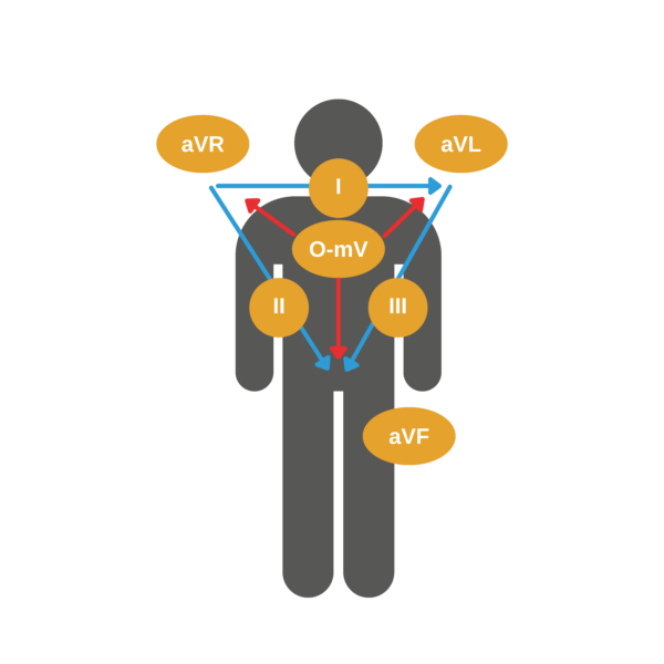 Topic - The Cardiac Axis | 12 Lead ECG Course | ACLS Certification ...