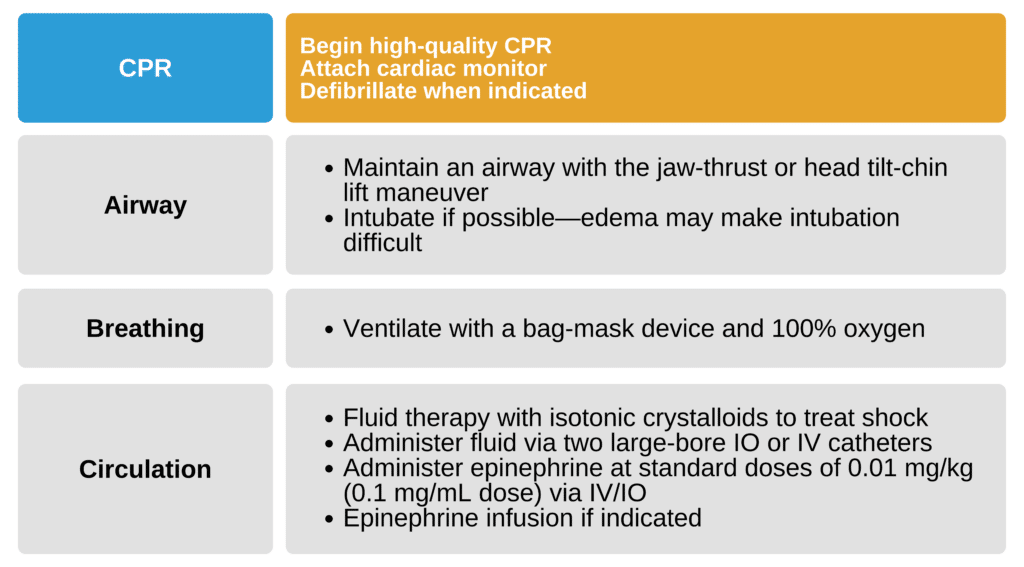 Topic - Special Considerations in Pediatric Cardiac Arrest | PALS ...