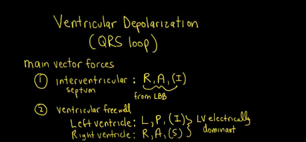 Topic - The QRS Vectors | 12 Lead ECG Course | ACLS Certification ...