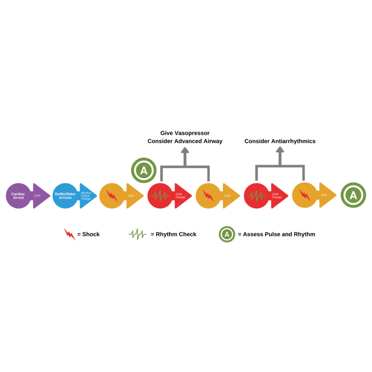 Topic - The PALS Cardiac Arrest Algorithm | PALS Course | ACLS ...