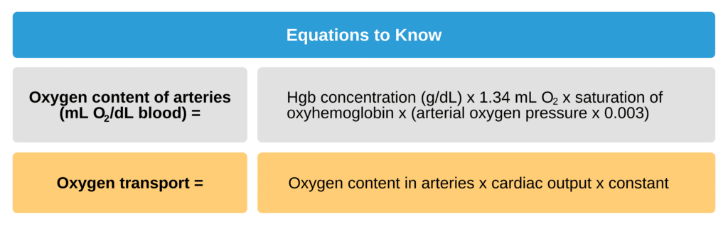 Topic - Monitoring during Oxygenation and Ventilation | ACLS EP Course ...