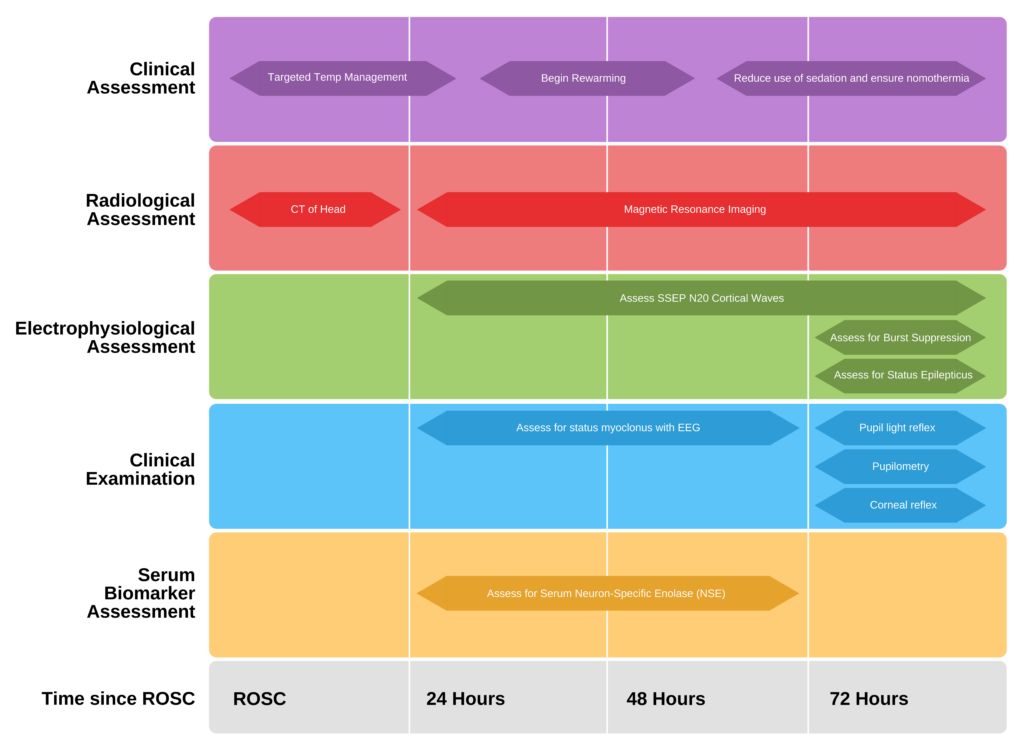 Topic - Care Following Cardiac Arrest | ACLS EP Course | ACLS ...