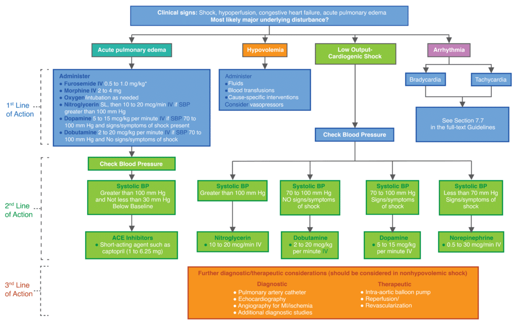 Topic - ACS Complicated by Heart Failure or Shock | ACLS EP Course ...