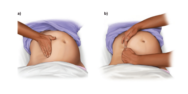 Topic - Maternal-Fetal Physiologic Changes | ACLS EP Course | ACLS ...