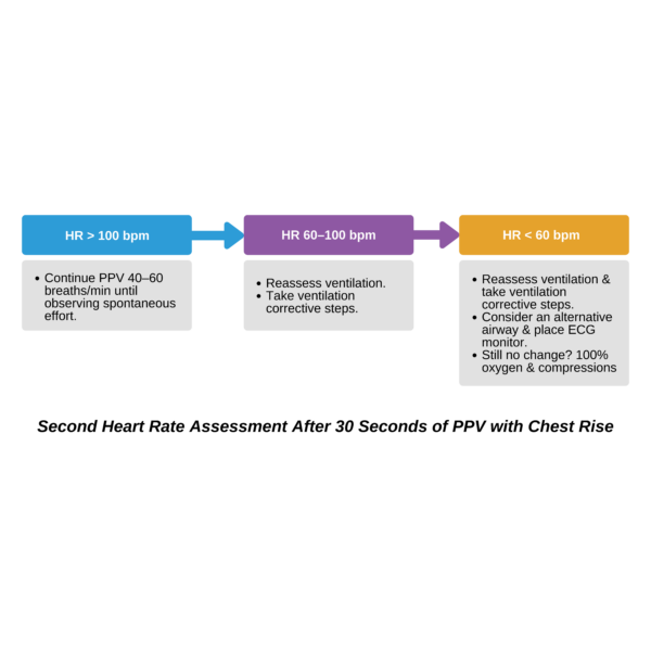 Topic - Evaluating Positive pressure Ventilation | Neonatal ...