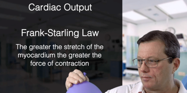 Cardiac Output Formula | ACLS Certification Association