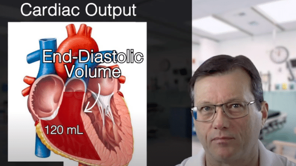 Cardiac Output Formula | ACLS Resources | ACLS Certification Association