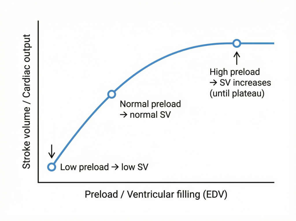 Cardiac Output Formula | ACLS Certification Association
