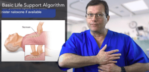 Basic Life Support Algorithm | ACLS Certification Association
