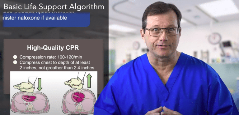 Basic Life Support Algorithm | ACLS Certification Association