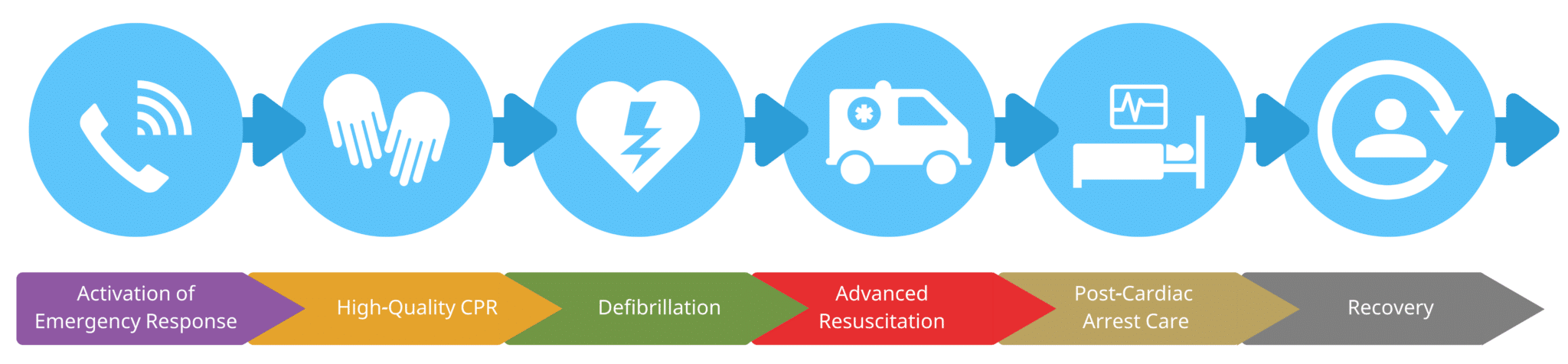 Topic - Initiating the Chain of Survival | BLS Course | ACLS ...