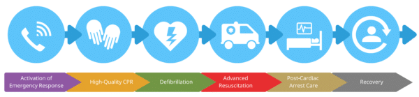 Topic - Initiating the Chain of Survival | BLS Course | ACLS ...