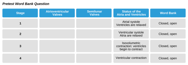 Pretest - The Cardiac Cycle | Arrhythmia Interpretation Certification ...
