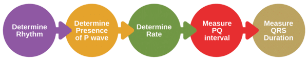 Topic - Rhythm Analysis | 12-Lead ECG Certification Course | ACLS ...